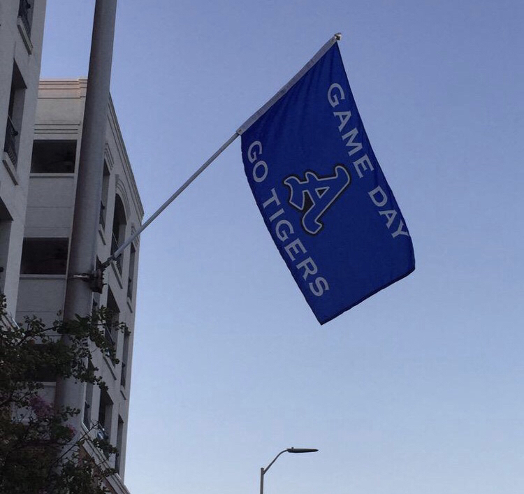 Game Day Flags | LESSONS FROM THE GOALPOST